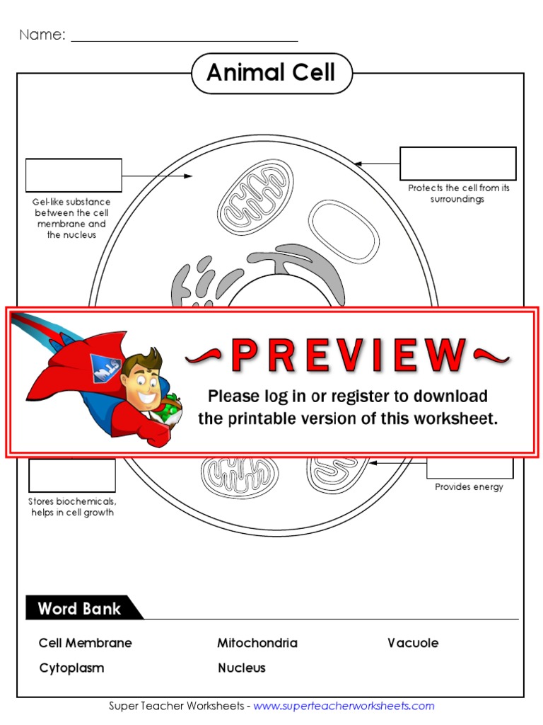 Atoms Family Worksheets | PDF