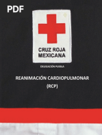 Protocolos Nexus e Inmovilización Selectiva | PDF | Dolor | Medicina ...