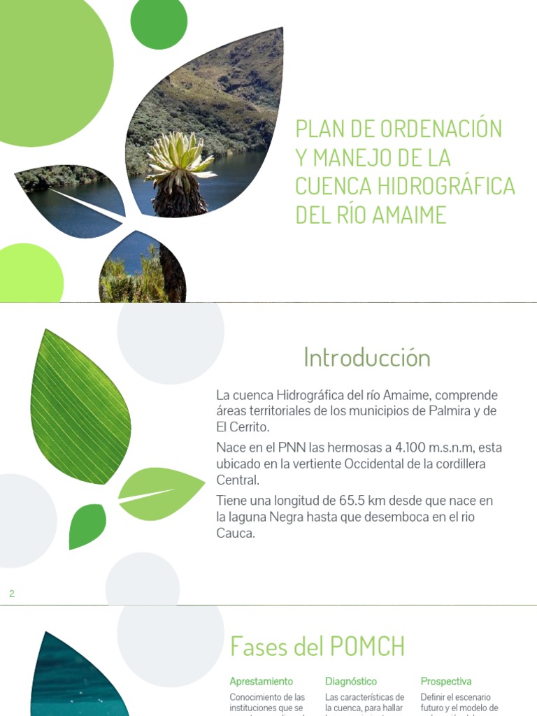 POMCA Río Amaime | PDF | Agua subterránea | Los bosques