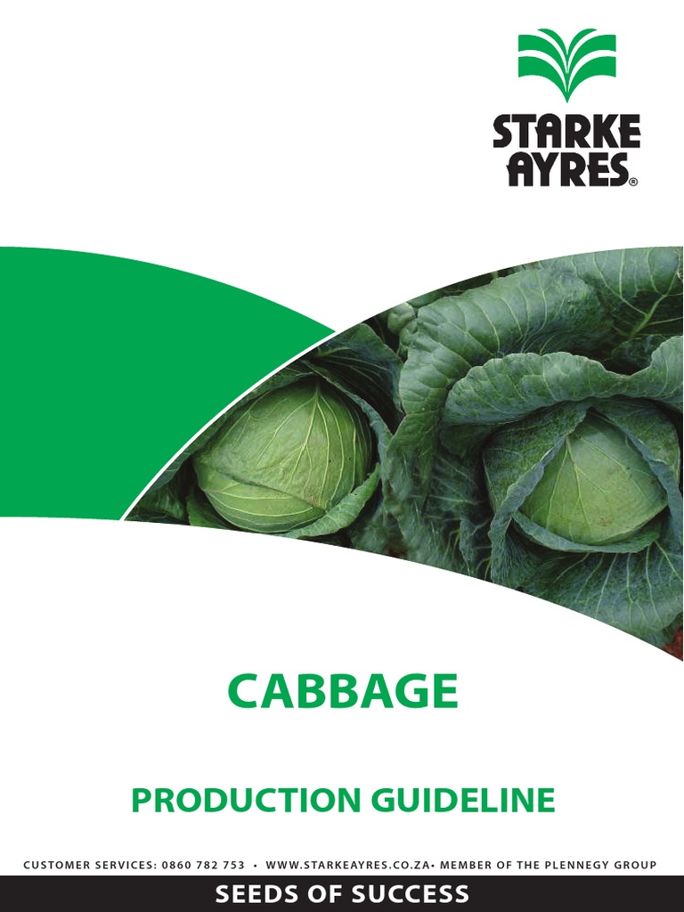 Cabbage Production Guideline 2014 | PDF | Cabbage | Fertilizer