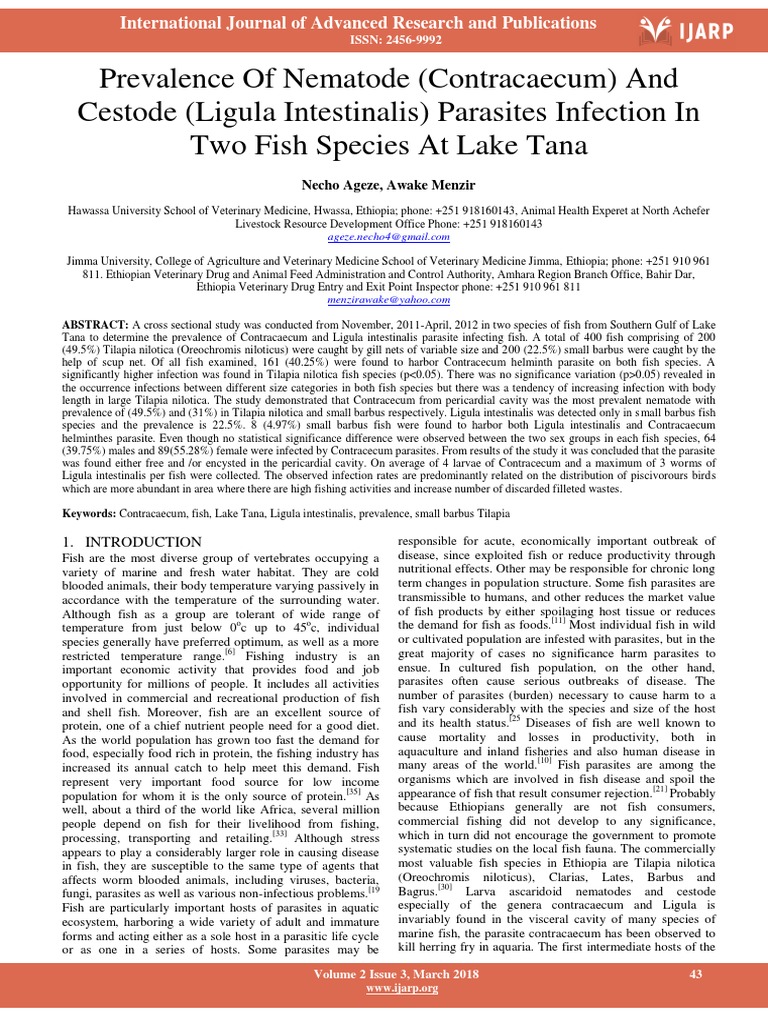 Prevalence of Nematode Contracaecum and Cestode Ligula Intestinalis ...