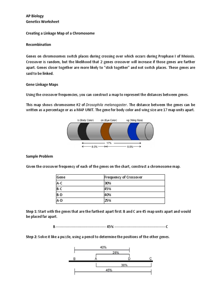 Gene Linkage Worksheet