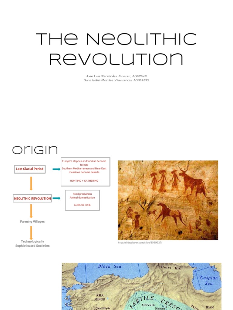 Neolithic Revolution | PDF | Neolithic