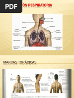 Compresion Radicular. | PDF | La columna vertebral | Sistema ...