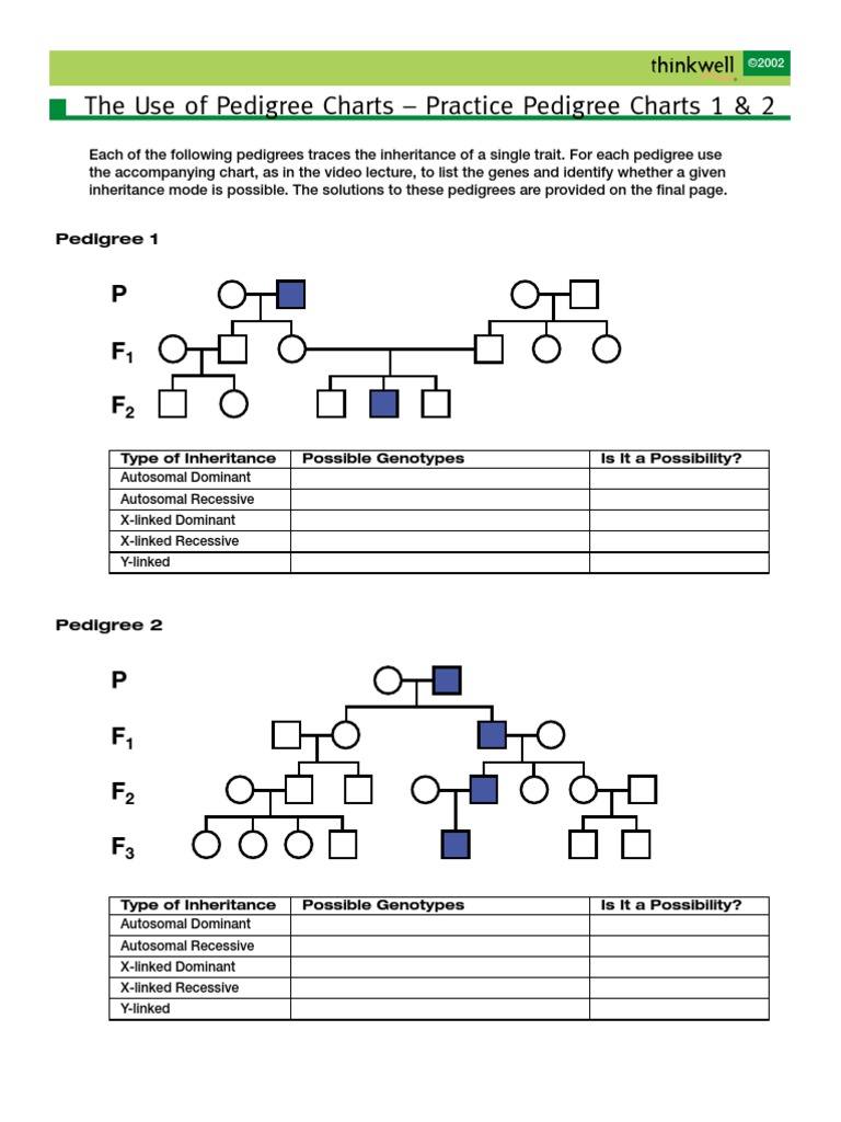 Practice Pedigree Chart | PDF | Dominance (Genetics) | Heredity