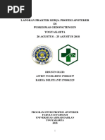 Leaflet Pio Seretid Diskus | PDF