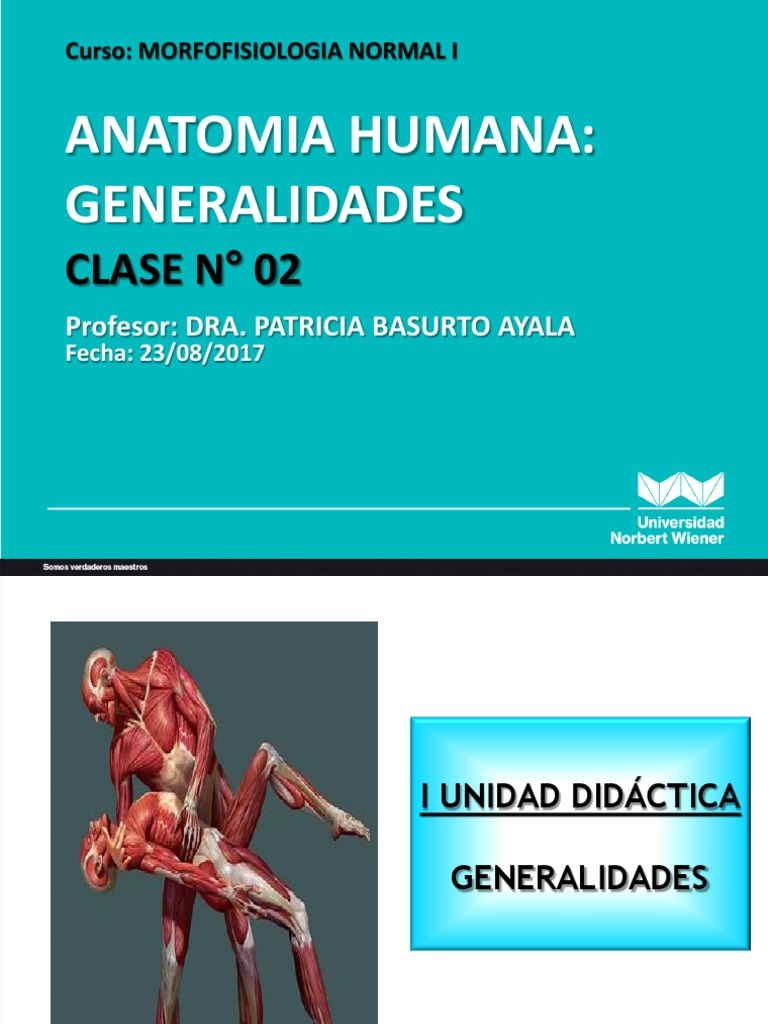 Morfo I Clase 2 | PDF | Salud y bienestar | Ciencia y matemáticas