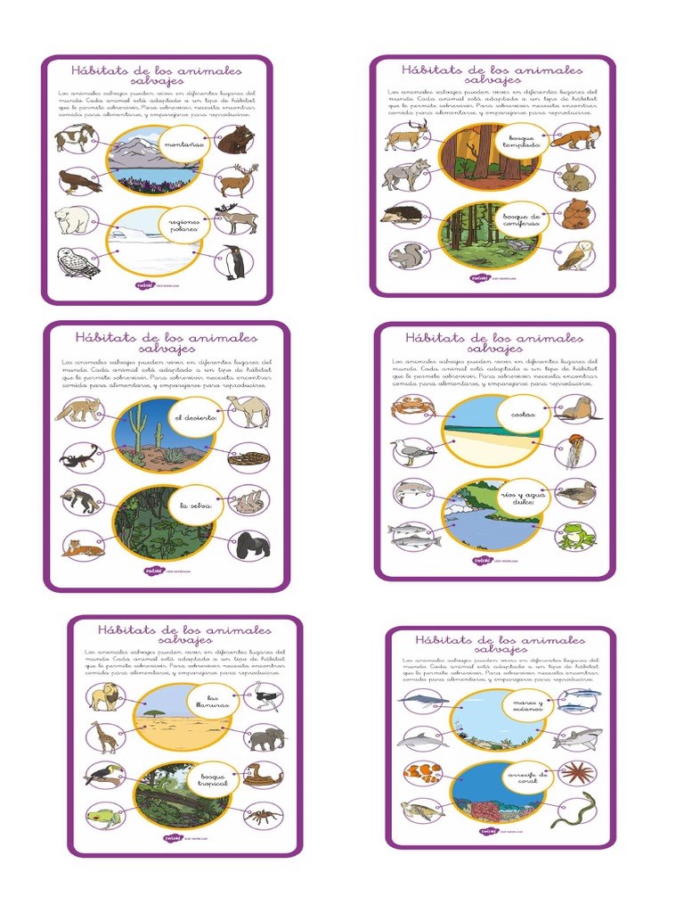 Laminas Habitat | PDF