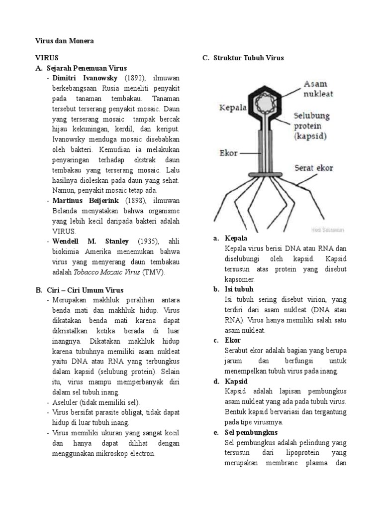 Modul Biologi | PDF