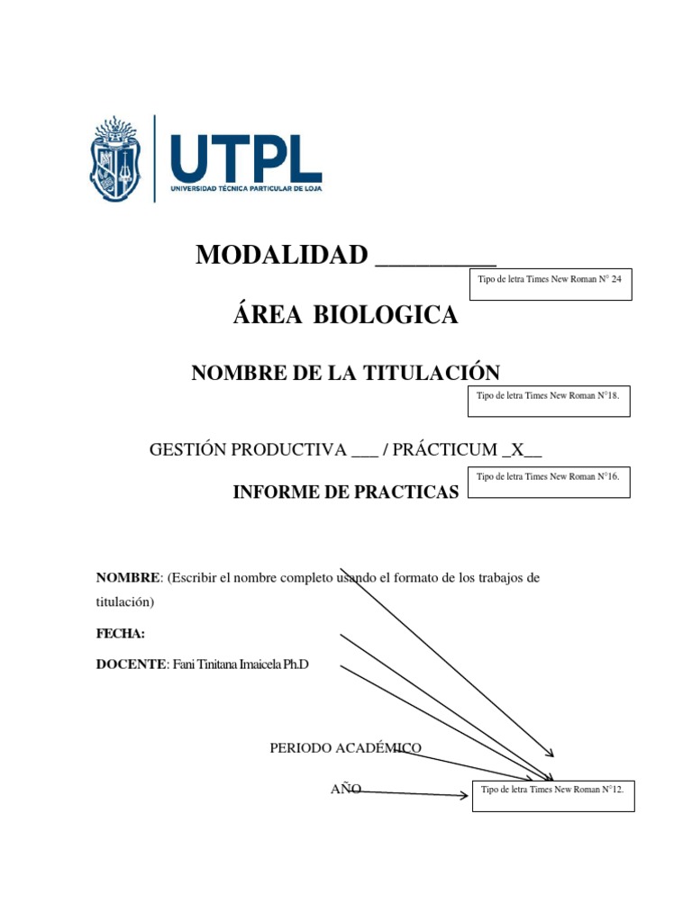 Formato Informe de Practicas | PDF