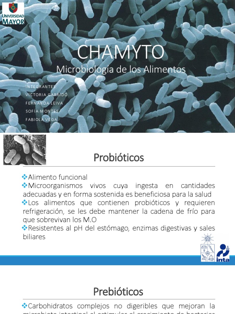 Chamyto | PDF | Leche | Alimentos