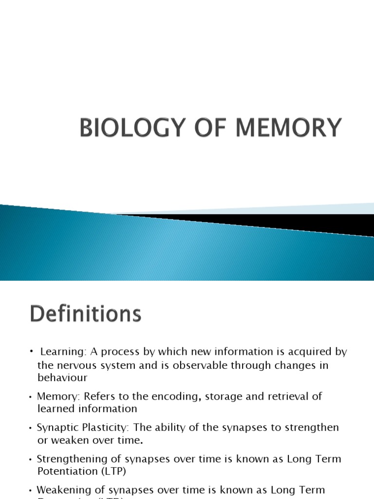 Biology of Memory | PDF | Amnesia | Synapse