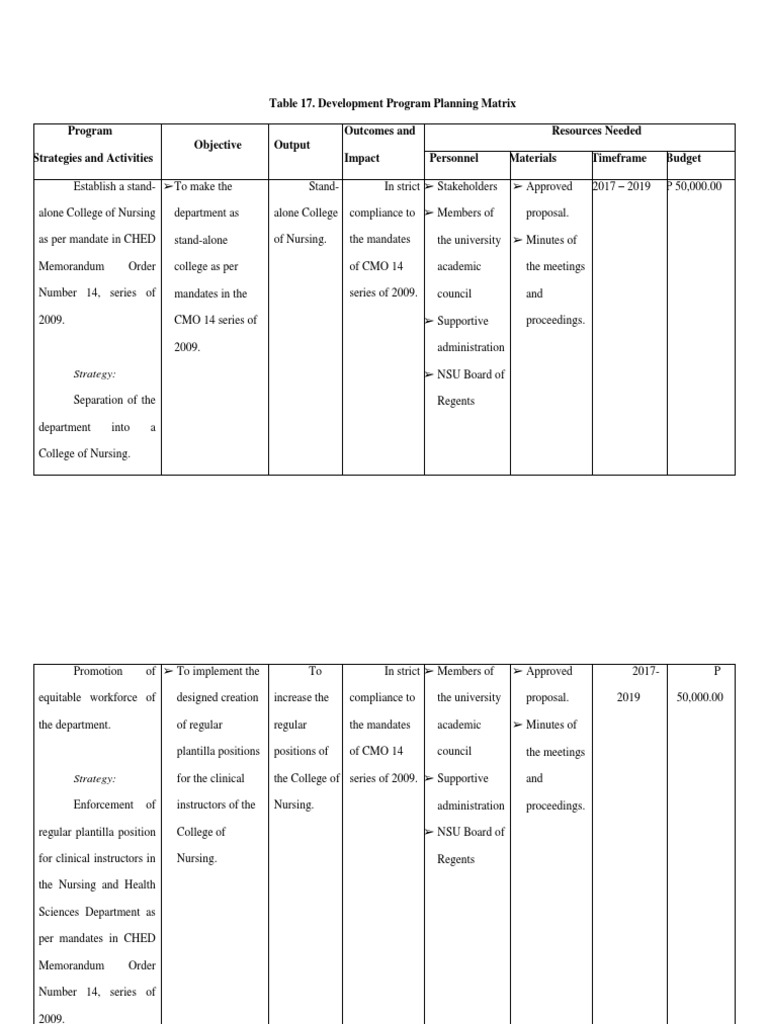 Development Program Planning Matrix | PDF | Nursing | Health Care