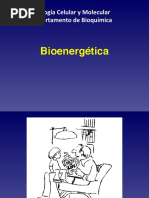 Colorantes Histológicos Más Comunes | PDF | Tinción | Biología Celular