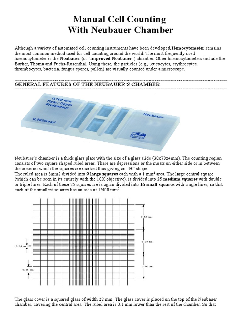 Neubauer Chamber Cell Counting Guide | PDF | White Blood Cell | Applied ...