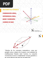 Matrices Particionadas | PDF | Matriz (Matemáticas) | Determinante