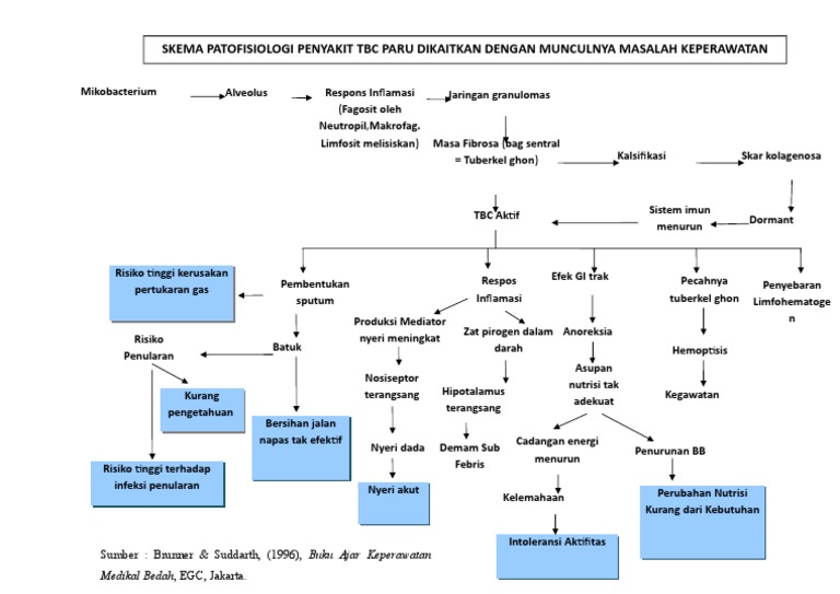290715288-pathway-tb-paru.doc