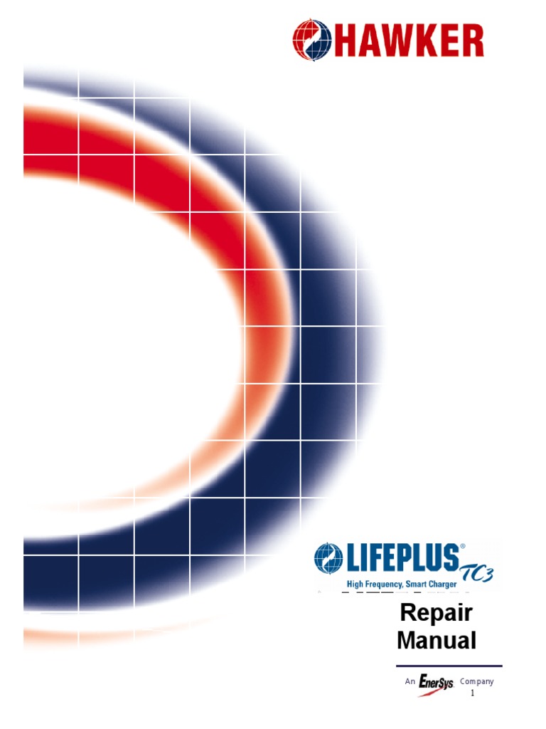 Lifeplus | PDF | Battery Charger | Power Supply