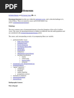 Nela | PDF | Blood Pressure | Clinical Medicine