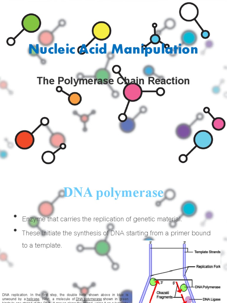 Nucleic Acid Manipulation: The Polymerase Chain Reaction | PDF | Primer ...