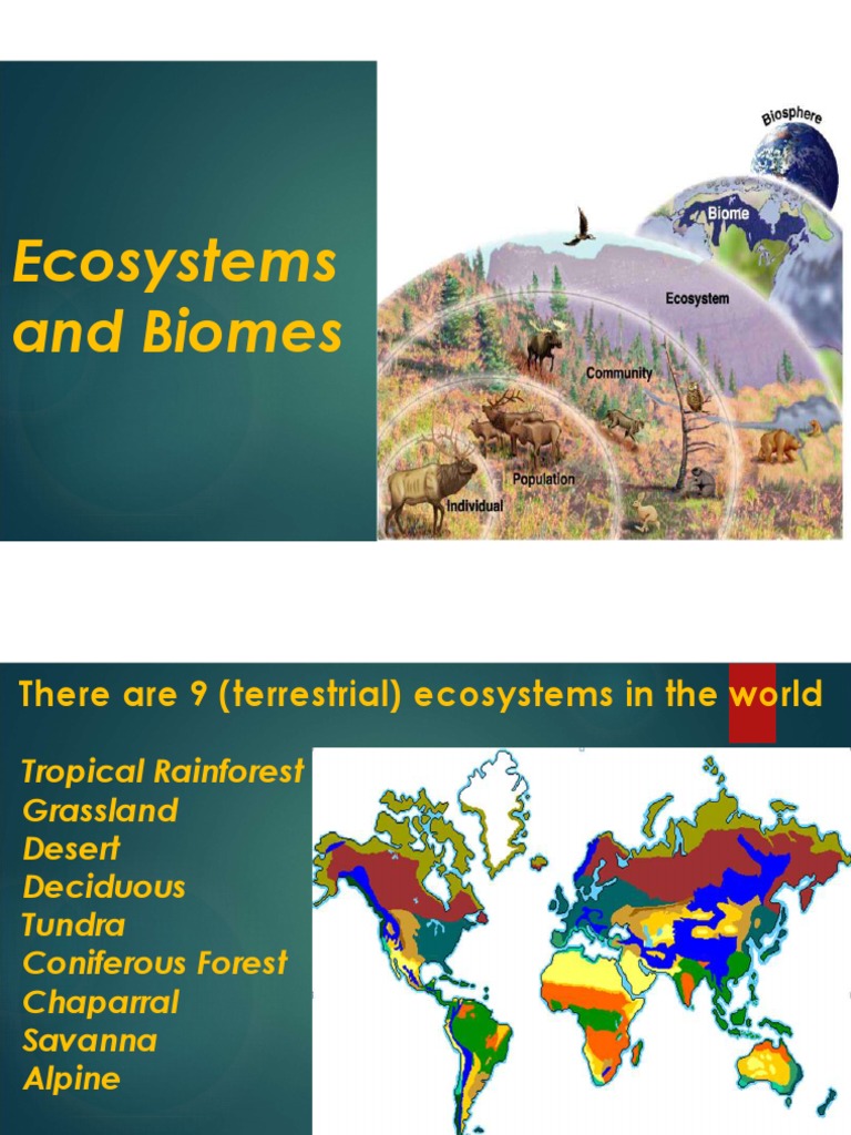 Biomes | PDF | Ecosystem | Forests