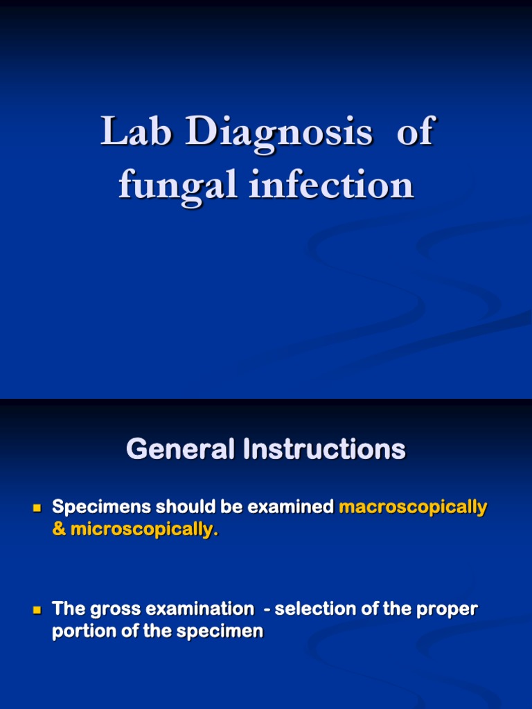Lab Diagnosis of Fungal Infection | PDF | Fungus | Yeast