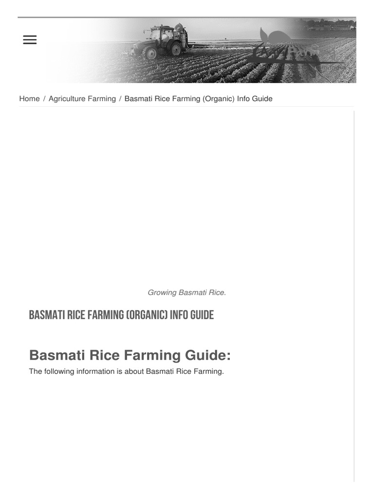 Organic Basmati Rice Farming Guide | PDF | Rice | Organic Farming