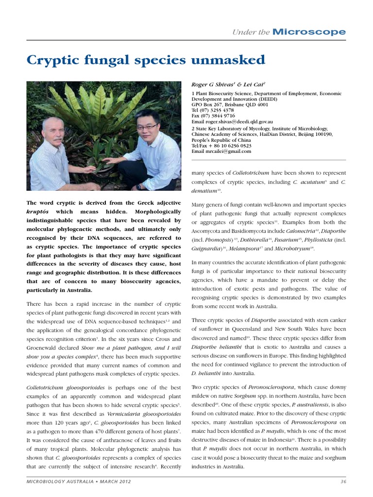 Cryptic | PDF | Fungus | Species