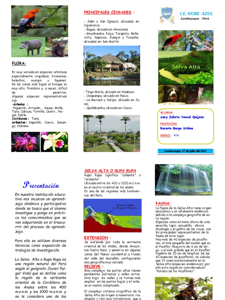 Triptico Selva Alta PDF | PDF | Andes | Ecología