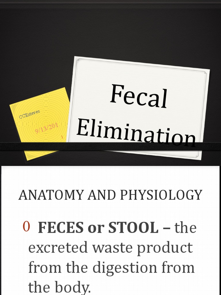 Anatomy and Physiology of the Large Intestine and Defecation | PDF ...