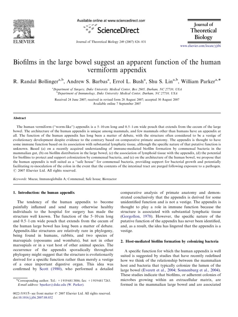 Biofilms | PDF | Large Intestine | Biofilm