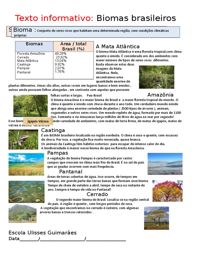 Bioma | Floresta Amazônica | Florestas