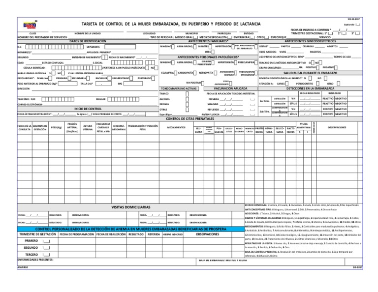 Tarjeta De Control Prenatal Para Imprimir Pdf