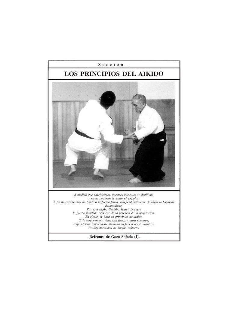 Los Principios Del Aikido PDF | PDF