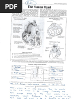 BTEC Sport Level 3 Revision Guide Muscular System | PDF | Human Leg ...