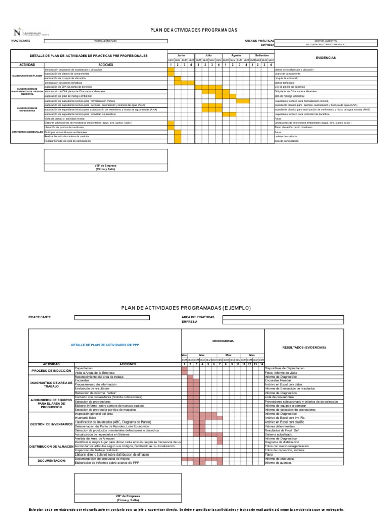Prapro 3 - Ficha de Actividades Programadas | PDF | Business