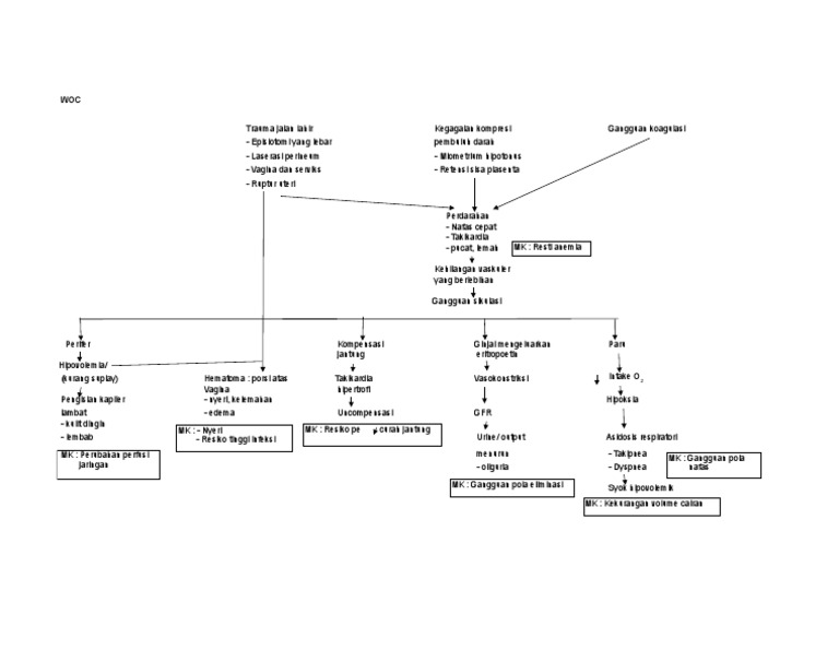 WOC Postpartum | PDF