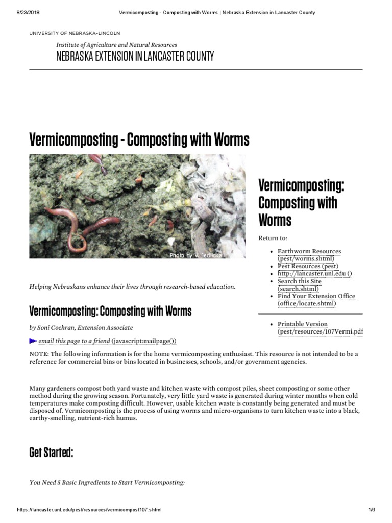 Vermicomposting Guide for Beginners | PDF | Compost | Horticulture And ...