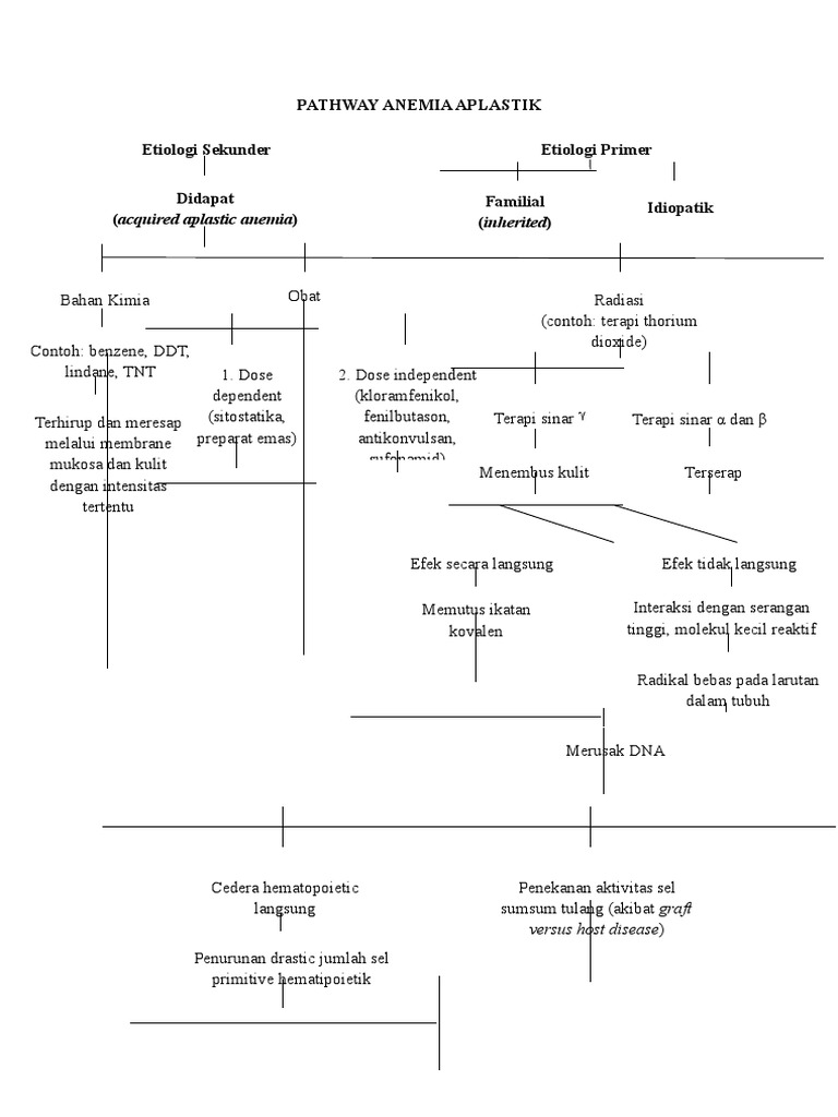 Pathway Anemia Aplastik | PDF