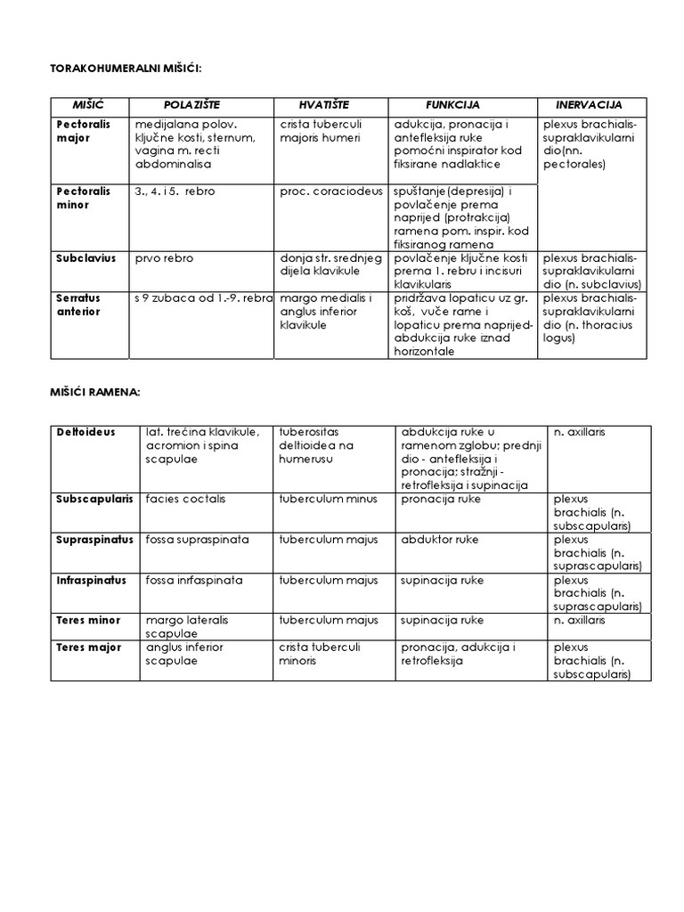 Mi-Ici Ruke PDF | PDF