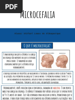 Bula Holmes H: Tratamento da Hipertensão | PDF | Anti-inflamatório não ...