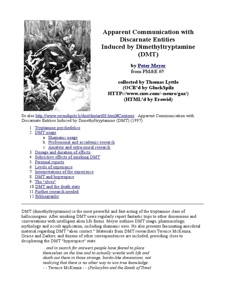 DMT Induced Communication With Discarnate Entities - Odt | PDF ...