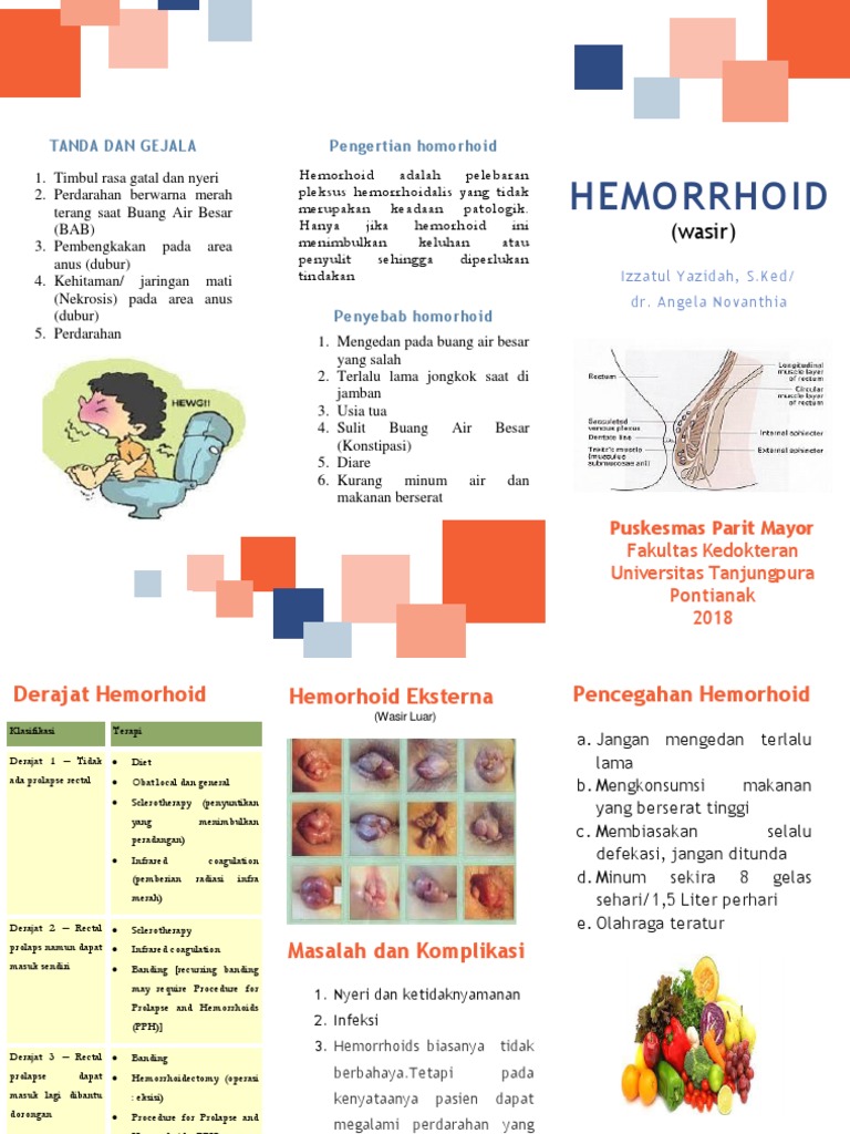 Leaflet Hemoroid | PDF