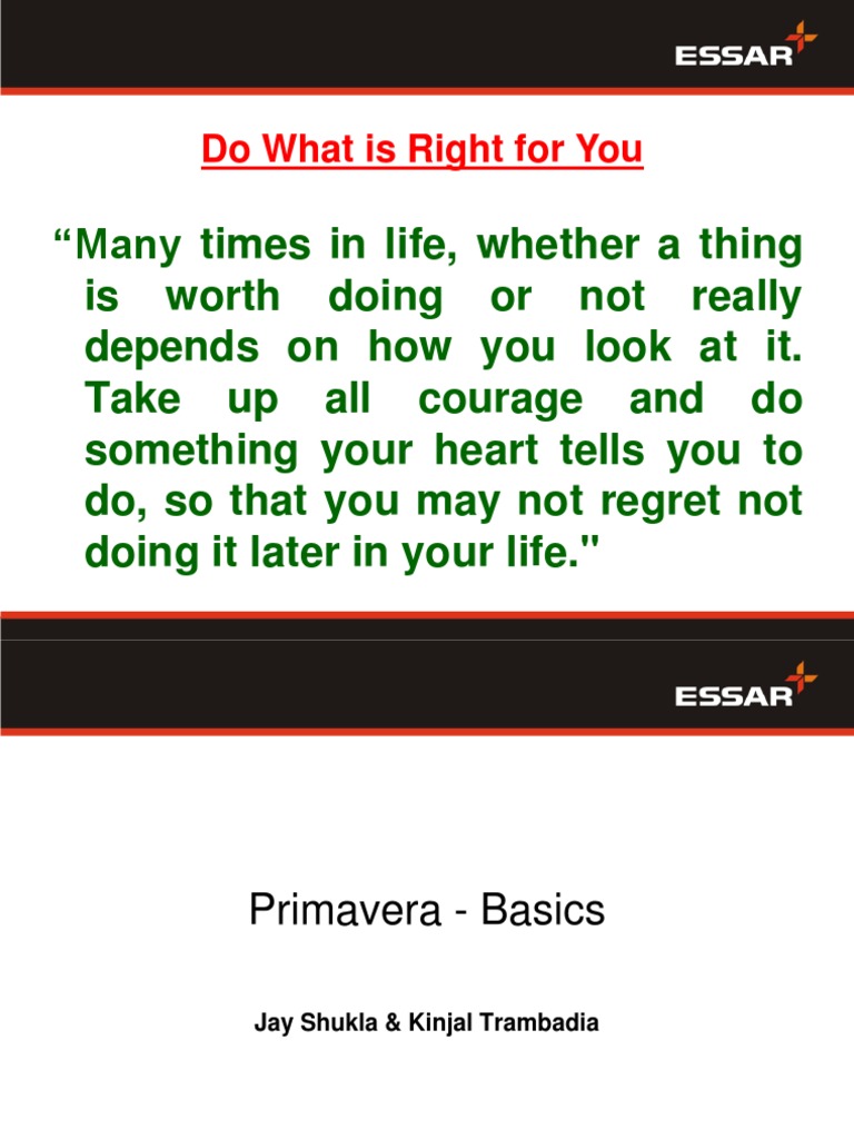 Primavera Basics | PDF | Project Management | Business