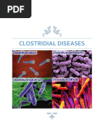 Trilostane Dosing Monitoring | PDF | Cortisol | Clinical Medicine