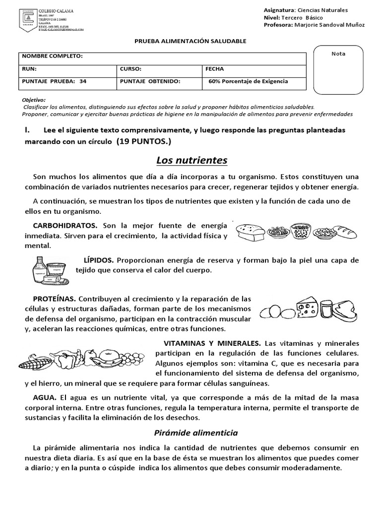 PRUEBA Alimentacion Saludable 3º Basico | PDF | Nutrientes | Alimentos