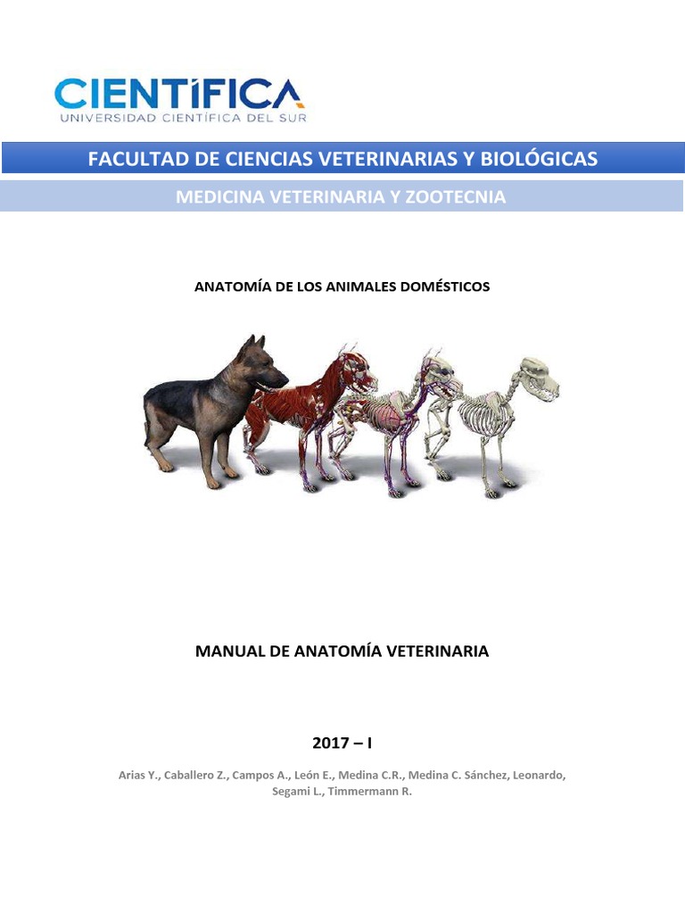 Manual_Anatomia_Veterinaria_UCSUR-2017.pdf | Articulación | Ojo humano ...