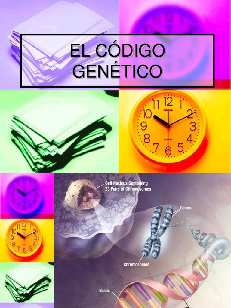 CODIGO GENETICO.pdf | Traducción (biología) | Adn