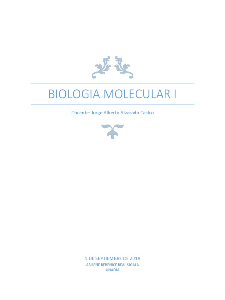 BBM1 U3 A3 Abrs | PDF