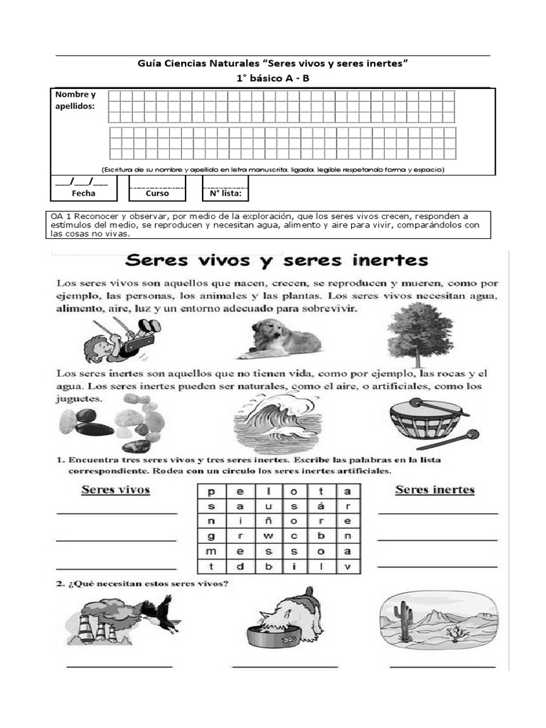 Guia Seres Vivos e Inertes Primero Basico | PDF